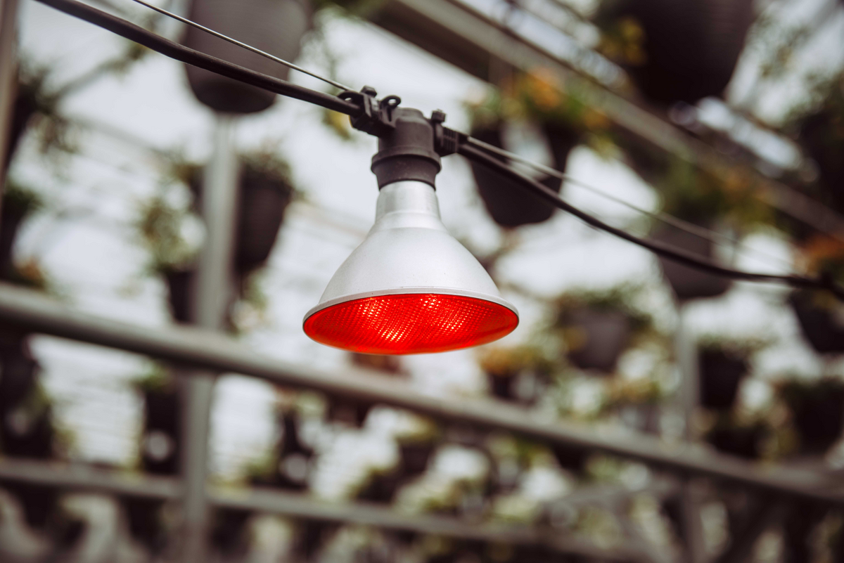 TotalGrow Pure Flowering Photoperiodic LED Light Bulb – TotalGrowLight